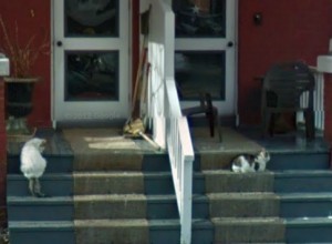 Cats on Google Street View – Spinor Info